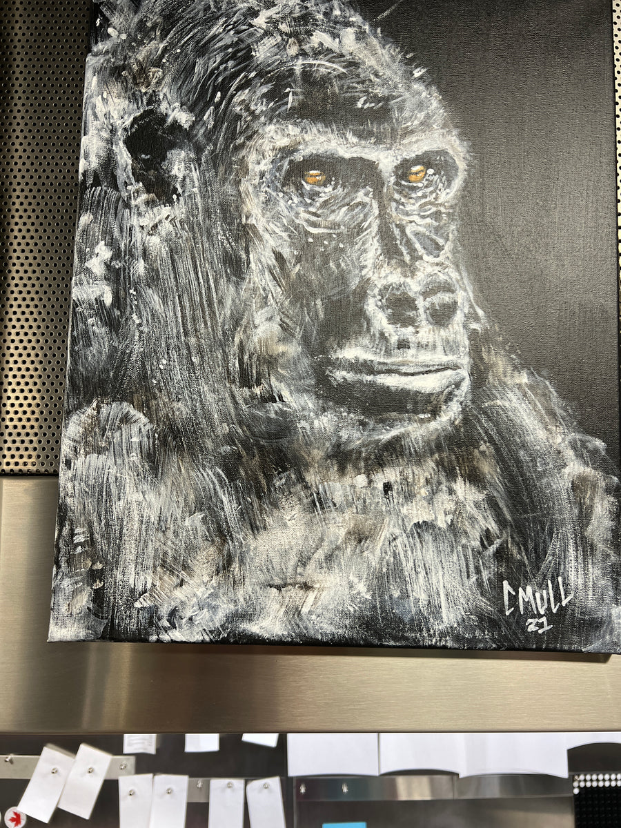 Silverback City – Gorilla Pro Customs